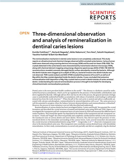 Pdf Three Dimensional Observation And Analysis Of Remineralization In Dentinal Caries Lesions