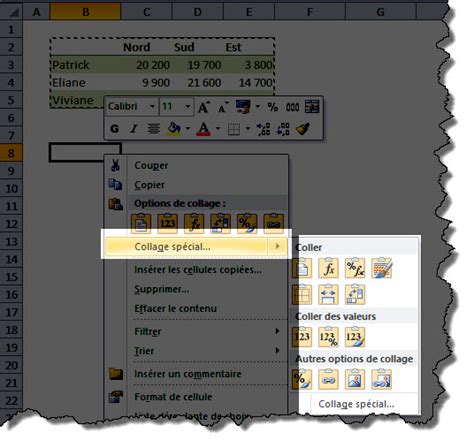 Un Autre Bouton « Caché Dans Excel Collage Spécial Tss Performance A Chacun Son Tableau