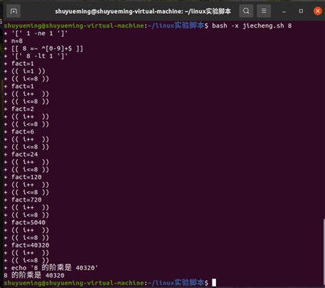 【linux操作系统】探秘linux奥秘：shell 编程的解密与实战 linux中shell编程实验实验总结 csdn博客