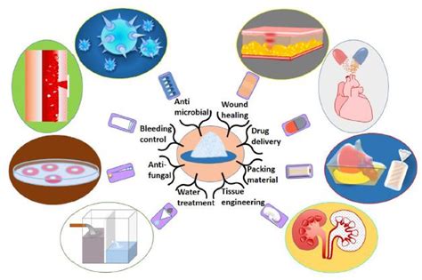 Important Applications Of Chitin And Chitosanchemicalbook