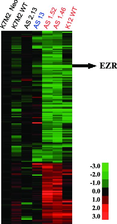 hierarchical clustering of 181 differentially expressed cdnas define