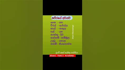 ශරීරයේ කොටස් දෙමළෙන් Youtube