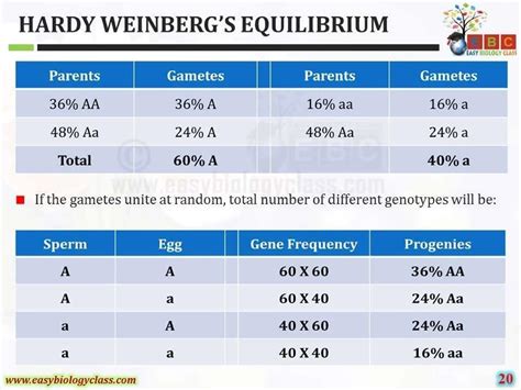 Polpulation Genetics And Gene Mapping Documents Pdfpptx