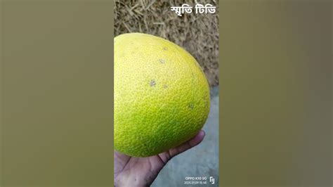 অফুরন্ত ভালোবাসা Nature Mydoctorhealthyzonedranubhav Youtube