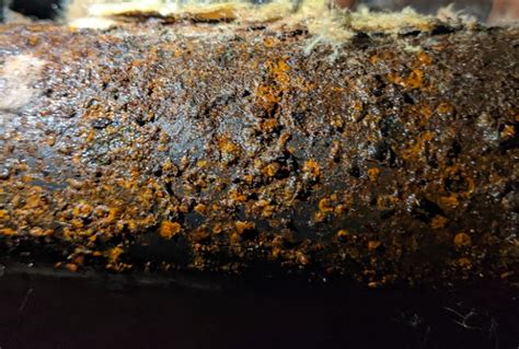 Project Profile Piping Condition Investigation Expand Consulting Group