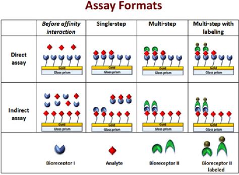 Figure 2 From Spr Based Affinity Biosensors As Innovative Analytical