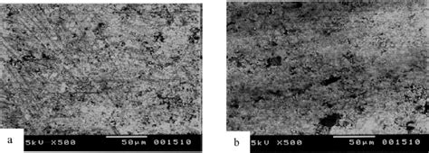 Sem Micrographs Showing The Surface Morphology Of Wc10co4cr Coating