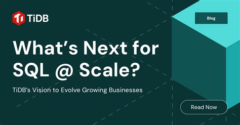 Database Scaling Tidbs Vision To Evolve Growing Businesses