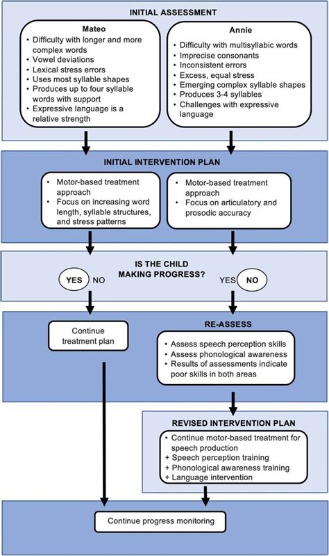 Overview Of The Clinical Decision Making Process For Case Download