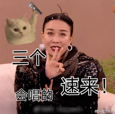 那英参加歌手火了那英的表情包