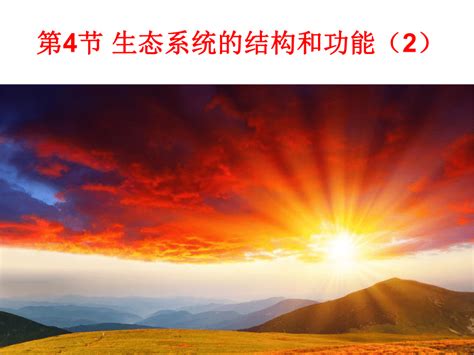 第4节 生态系统的结构和功能 第2课时 21世纪教育网