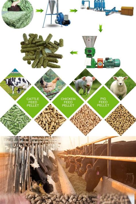 Feed Pellet Mill Feed Pellet Production Line Make Cattle Feed Pellets Cattle Feed Cattle Pellet