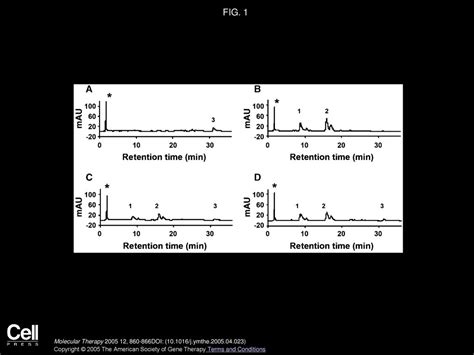 Volume 12 Issue 5 Pages November 2005 Ppt Download