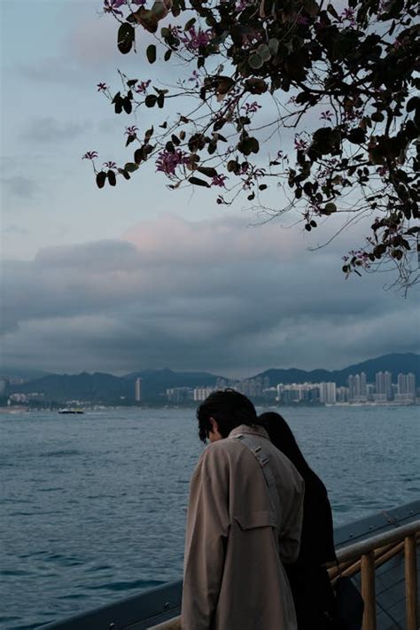 가지 강가 경치가 좋은 고요함 관계 구름 그리움 꽃무늬 낭만적 인 도주 단란함 도시 풍경 도시의 도시의 휴식 레저 로맨스 묵상 바다 반사