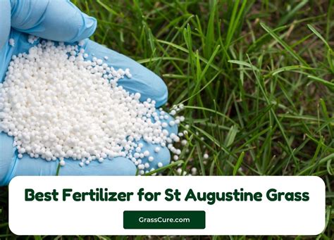 5 Best Fertilizer For St Augustine Grass 2026 Grass Cure