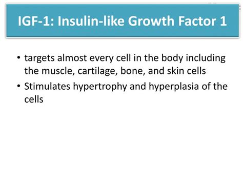 Ppt Growth Hormone Powerpoint Presentation Free Download Id3201298