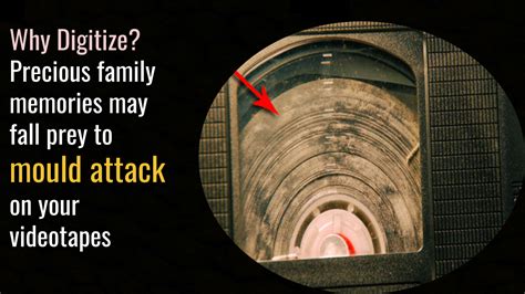 Steps To Digitize Analog Video Videotape To DVD Or Digital Video File