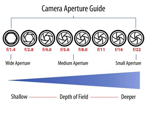 Sunny 16 Rule In Photography Ultimate Guide For Perfect Exposure