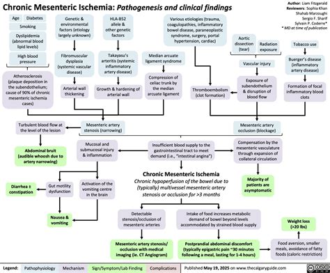 Chronic Mesenteric Ischemia Calgary Guide