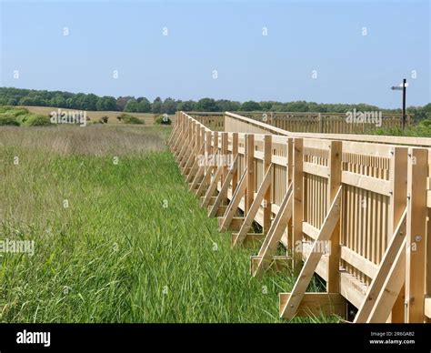 Saxmundham Suffolk 9 June 2023 Minsmere Nature Reserve Under