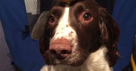 Balancing Practice Album On Imgur