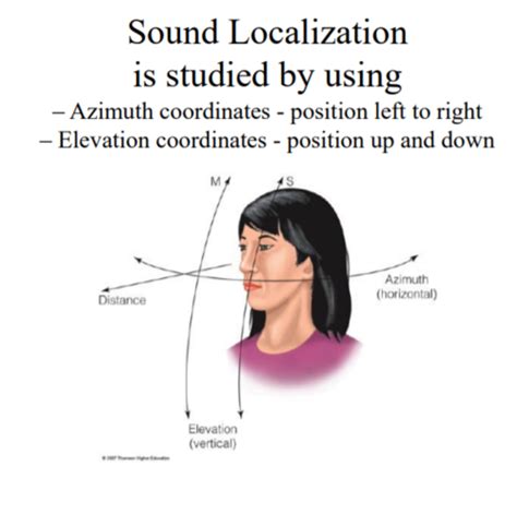 Ps 222 Sound Localization Flashcards Quizlet