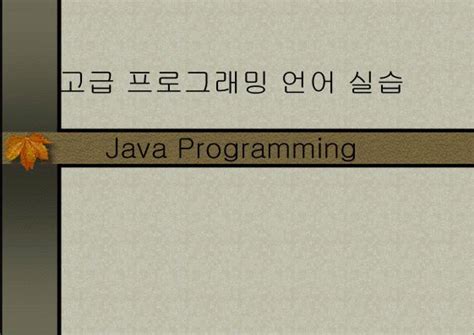 고급 프로그래밍 언어 실습 Java Programming