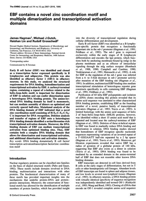 Ebf Contains A Novel Zinc Coordination Motif And Multiple Dimerization And Transcriptional