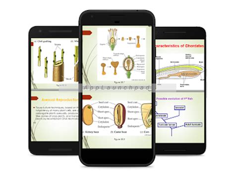 Android 용 Biology Form 3 Notes Diagrams 다운로드