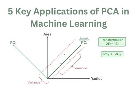 5 Key Applications Of PCA In Machine Learning