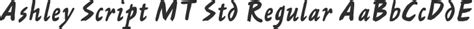 Ashley Script MT Std Font Download Free For Desktop Webfont