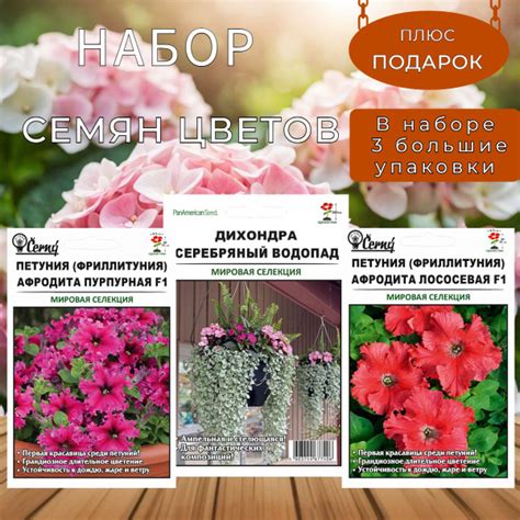 Петунии цветы 2 - купить по выгодным ценам в интернет-магазине OZON ...