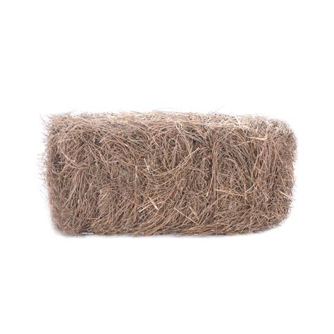 Lowes Pine Straw Mulch