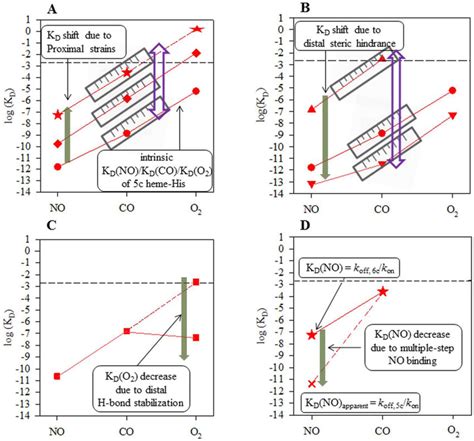 Major Factors That Govern The Sliding Scale Rule Hypothesis The Download Scientific Diagram