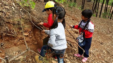 긴 숲 자유놀이돌 탑 쌓기 2014 4 30 긴 숲 탐방을 다녀왔어요 양벌한솔 유치원 Flickr