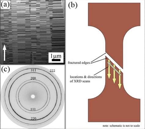 a cross sectional fib micrograph showing the original as prepared