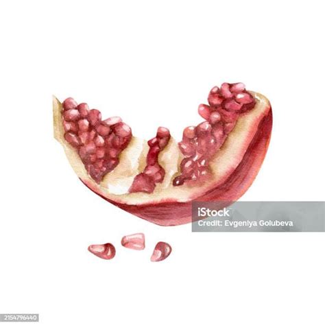 빨간 석류는 씨앗으로 반쯤 익었다 수채화 그림입니다 이국적인 신선한 과일 클립 아트 주스 포장 디자인 라벨 화장품 장식 소스 병