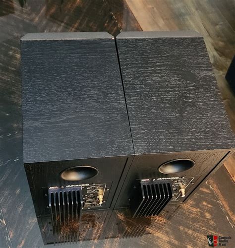 Dynaudio Bm5a Photo 4739595 Us Audio Mart