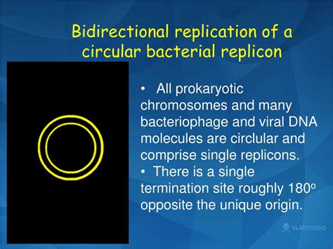 Ppt Section E Dna Replication Powerpoint Presentation Free