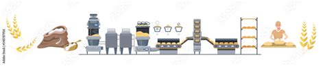 Bread Production Process Infographic Industrial Line From Wheat To Loafs Of Bread In The Shop