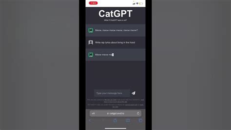 CatGPt - What if ChatGPT were a cat? #ai - YouTube