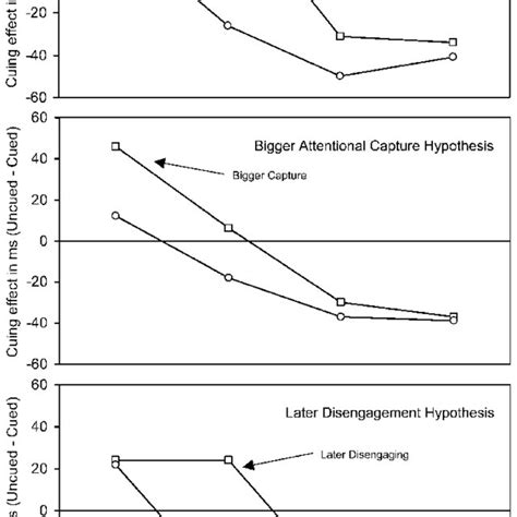 Representation Of The Different Time Course Of Cuing Effects Observed