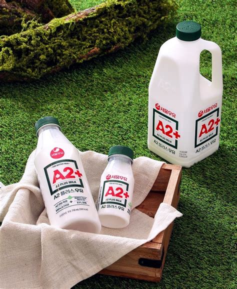 택배의여왕 더마랩몰 배내스템 선크림 4 1차