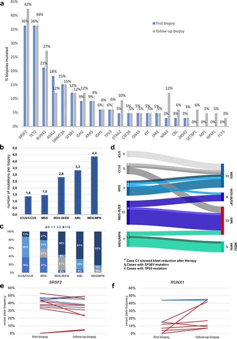 Mutation Frequencies And Clonal Evolution A Mutational Spectrum And