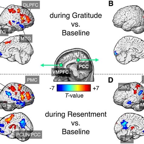 Alterations In Resting State Functional Connectivity During The Download Scientific Diagram