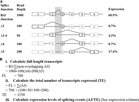Recommendations For Utilizing Targeted Rna Sequencing To Evaluate