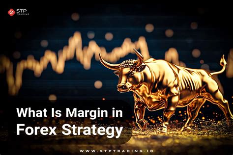 What Is Margin In Forex Trading Stp Trading