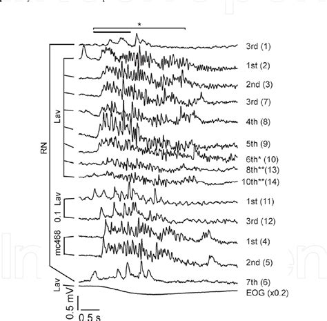 Figure 1 From Wavelet Correlation Analysis For Quantifying Similarities