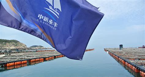 福建中新永丰实业有限公司 大磹鲍 连江鲍鱼