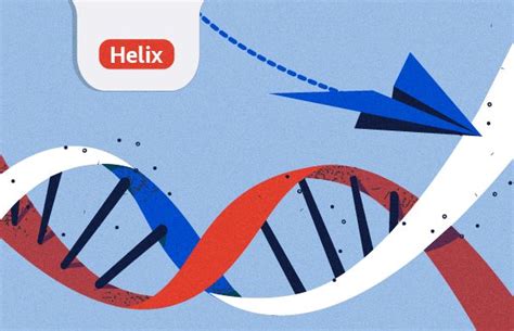Migrating To Sitecore Helix Software Development Helix Solutions
